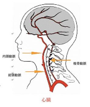Cephadol | おじさん薬剤師の日記
